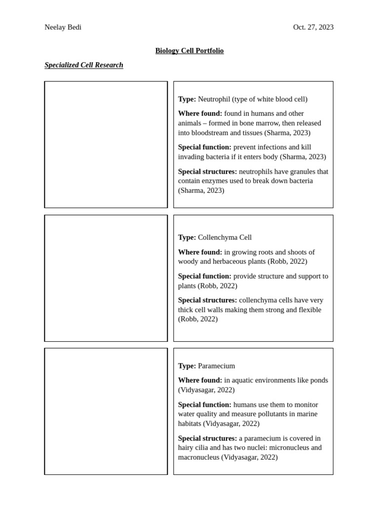 Biology Cell Portfolio - Neelay Bedi | PDF