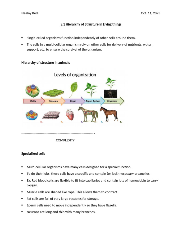 3.1 Hierarchy of Structure in Living Things | PDF