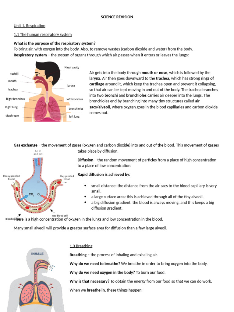 Science Revision G7 | PDF