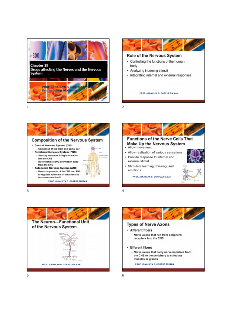 Chapter 19-28 Drugs Affecting The Nerves and The Nervous System | PDF