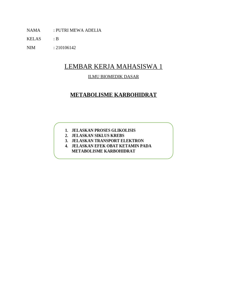 LKM Mewa | PDF