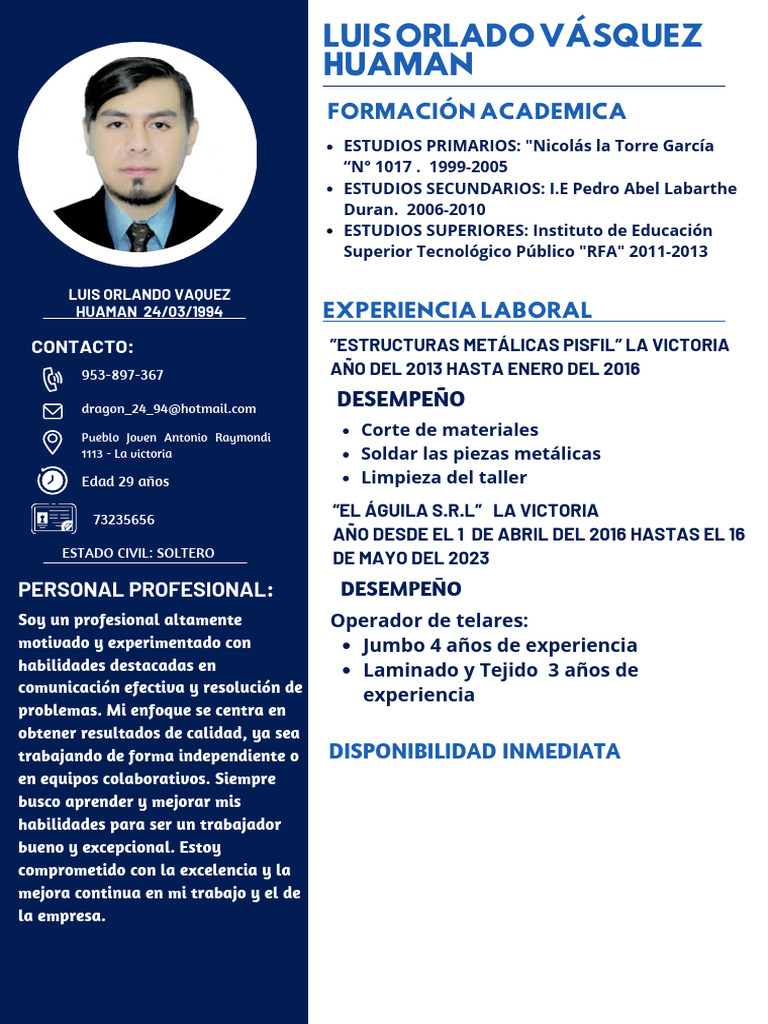 CV Currículum Luis. | PDF