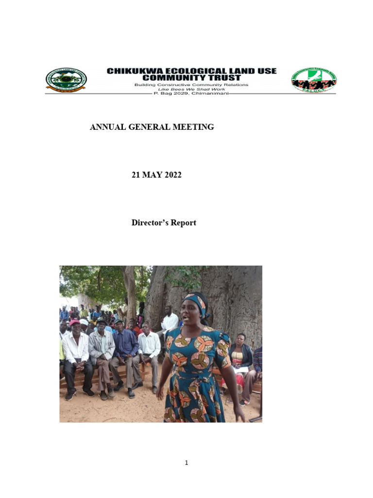 Director S Report AGM 2022 | PDF