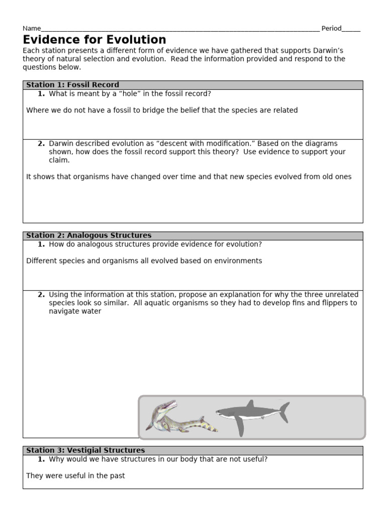 Evidence For Evolution Stations | PDF