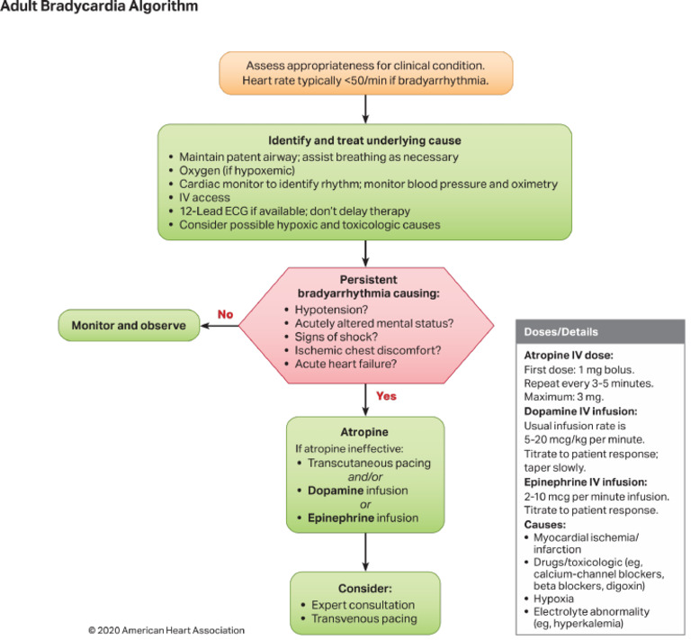 Algorithm-ACLS Bradycardia 200612 | PDF