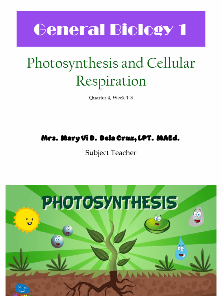 Q4 W1-3 Photosynthesis Cellular Respiration | PDF