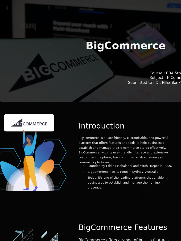 Big Commerce | PDF