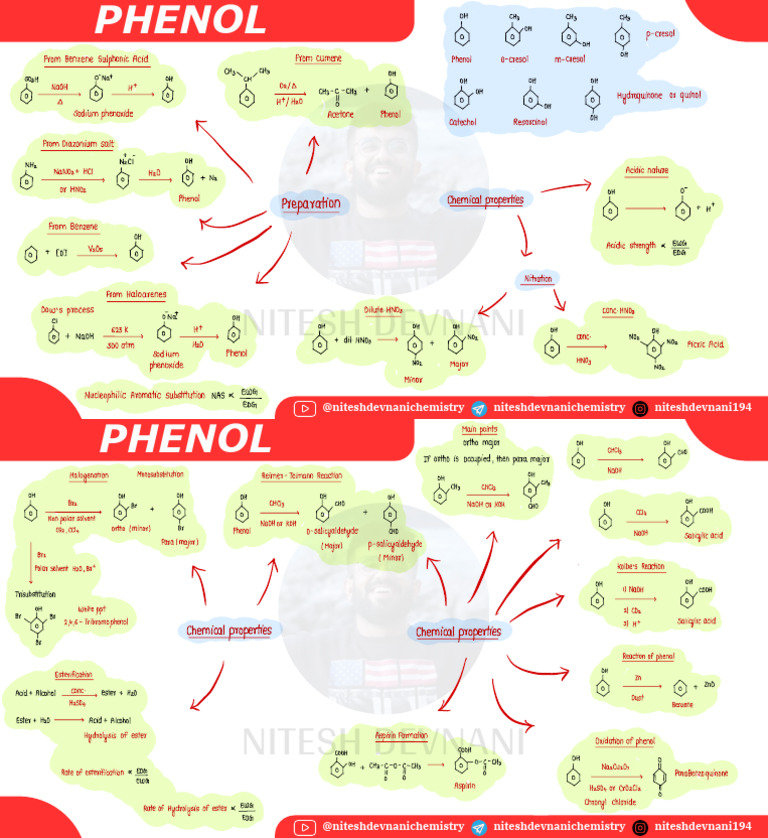 Phenol Mindmap | PDF