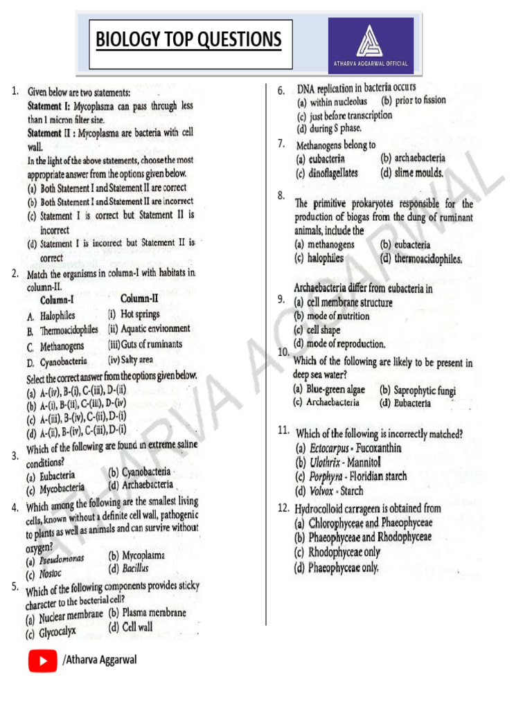 Final 300 Ques | PDF