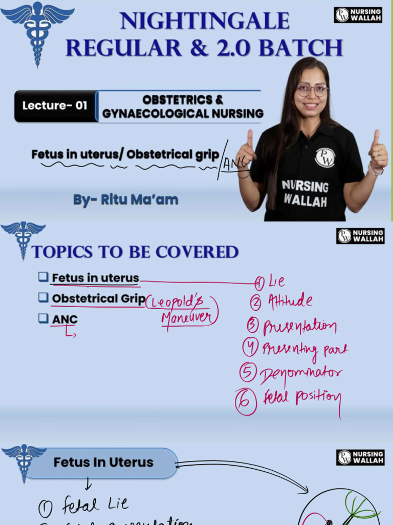 Fetus In Uterus Antenatal Care Obstetrical Grips 01 Classnotes