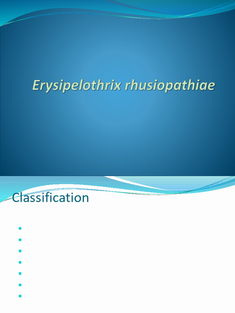 Erysipelothrix | PDF
