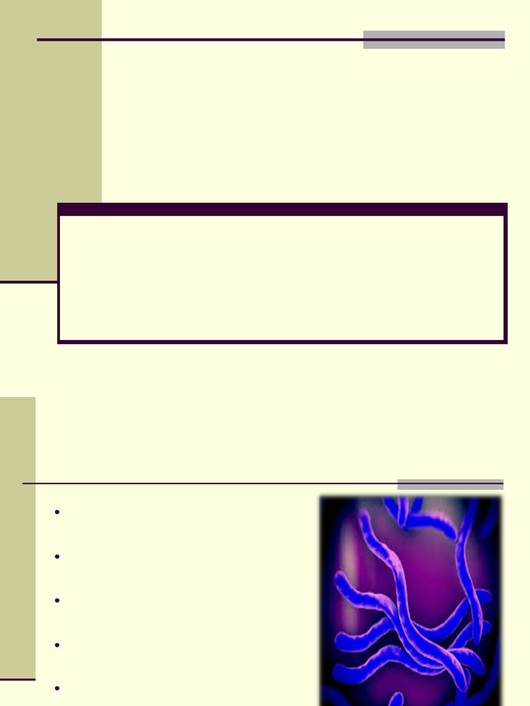Borrelia Burgdorferi | PDF