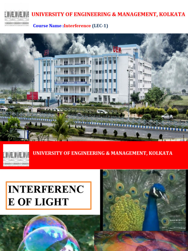 Interference PPT 2 | PDF