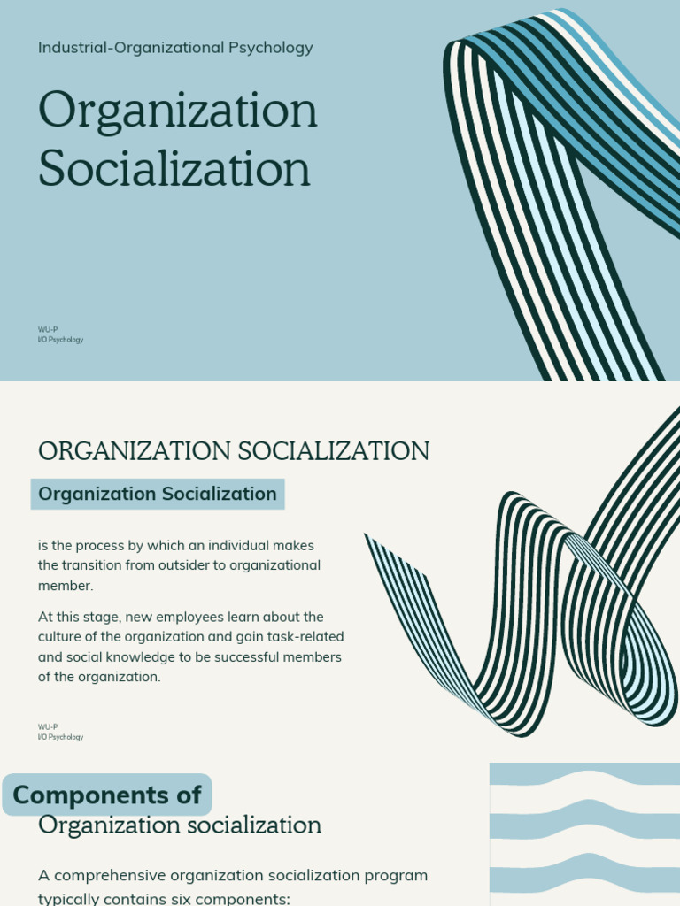 Organization Socialization | PDF