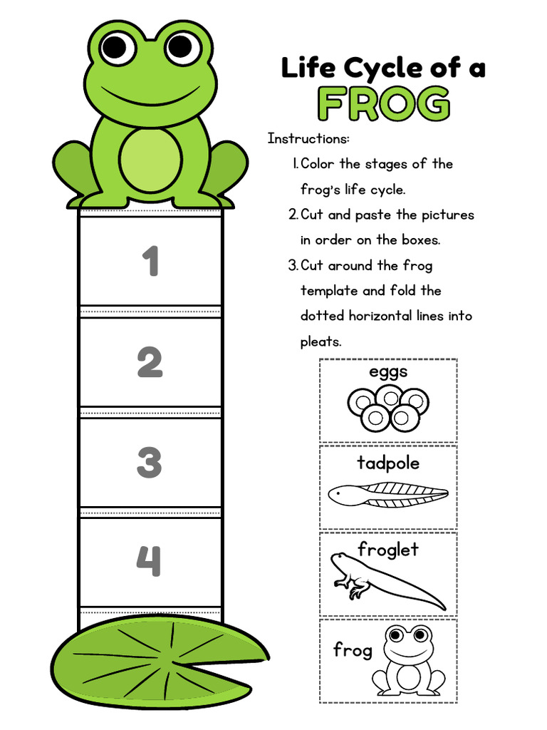 Green Frog Life Cycle Craft Science Activity (1) | PDF