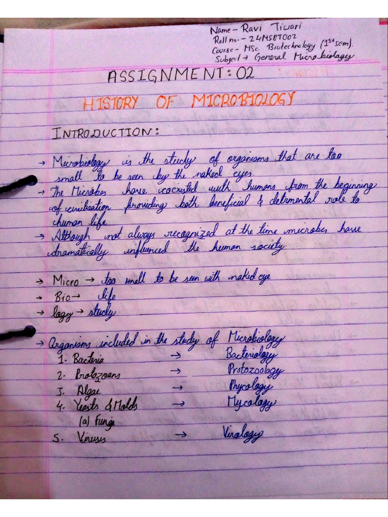 History of Microbiology | PDF