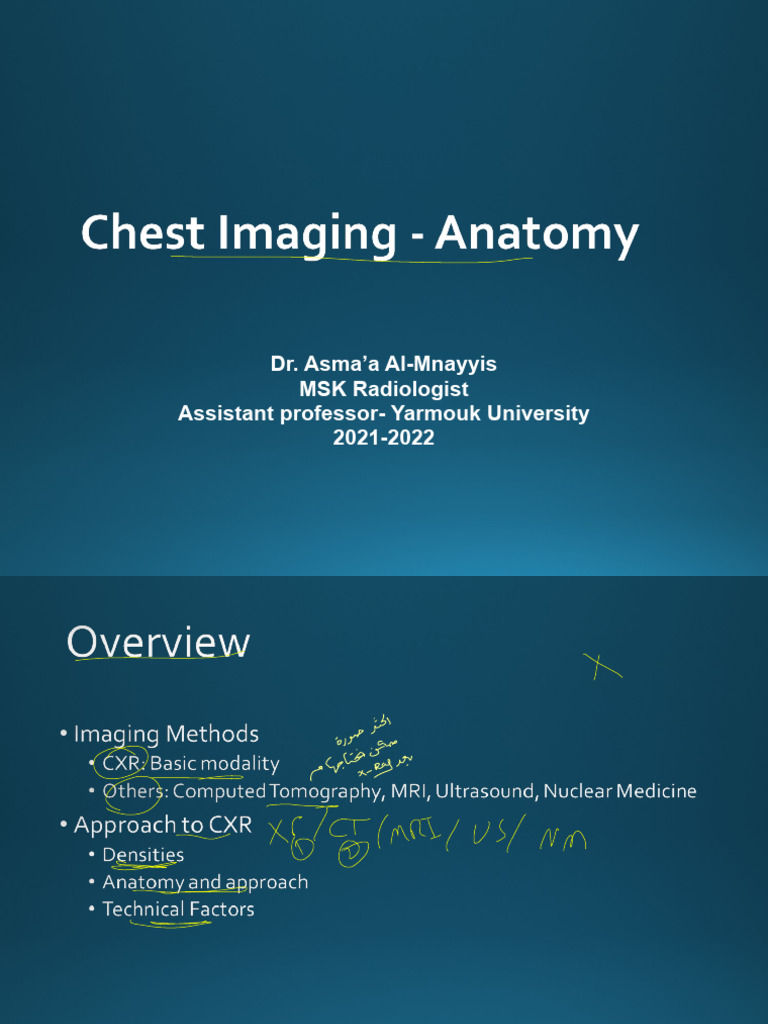Chest Imaging - Anatomy Exy | PDF