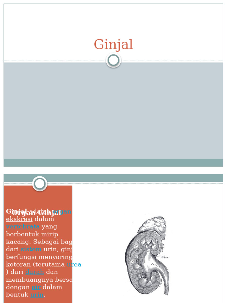 Ginjal PPT Farmasi | PDF