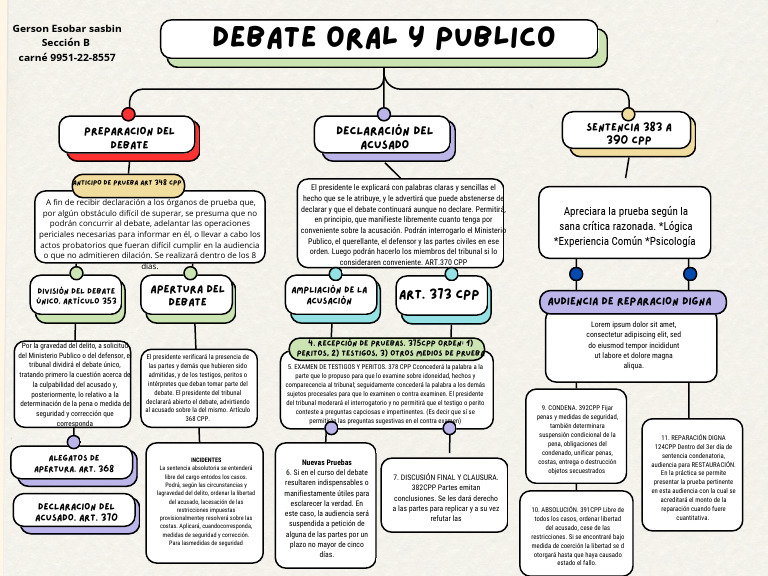 Mapa Debate Oral y Publico | PDF | Ley Pública | Justicia
