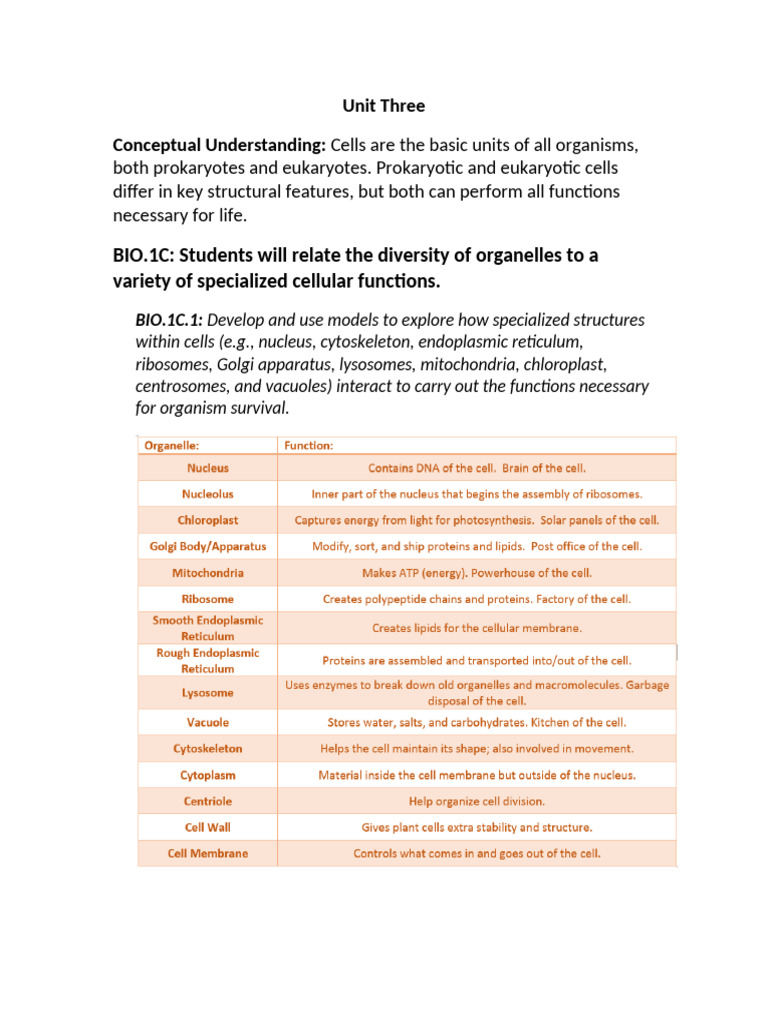 Biology Unit Three Review 2023 | PDF | Cell (Biology) | Science ...
