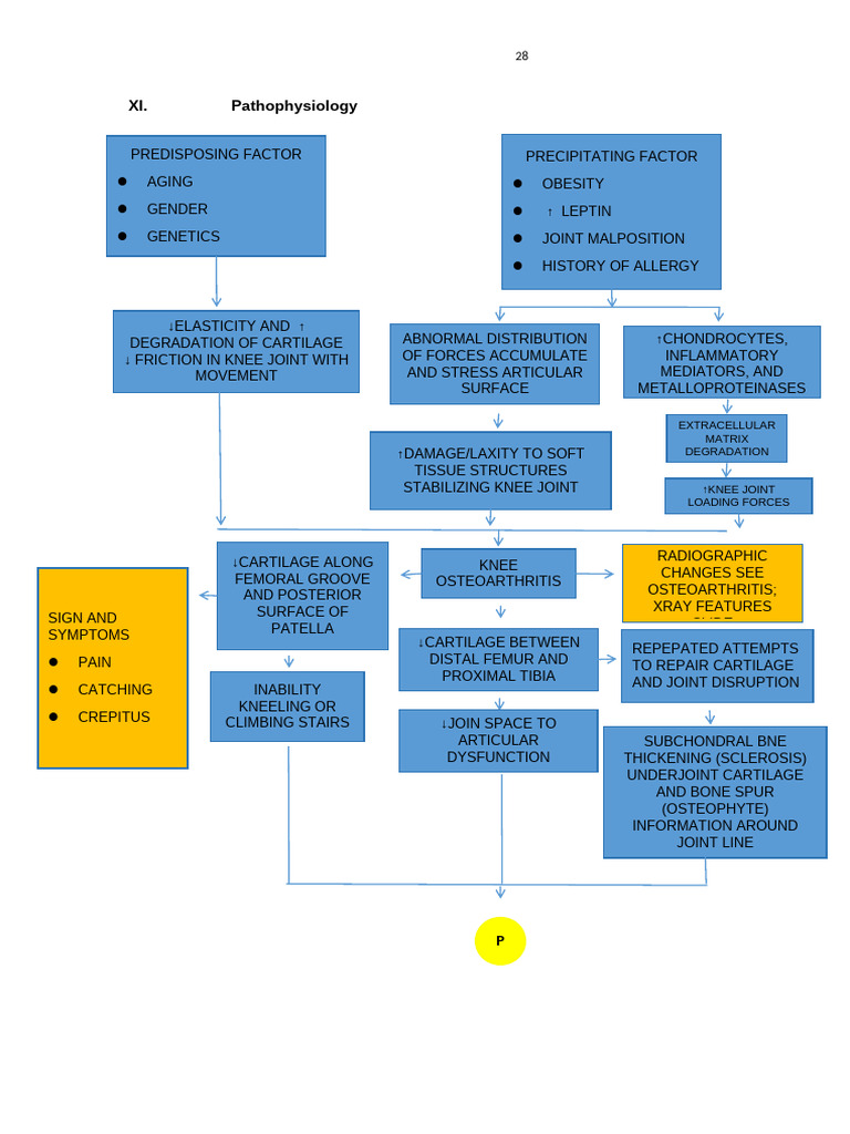 Pathophysiology Osteo | PDF