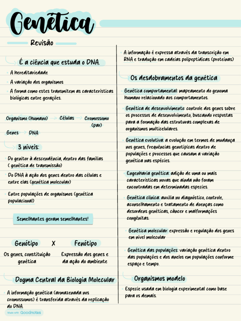 Resumo Final | PDF