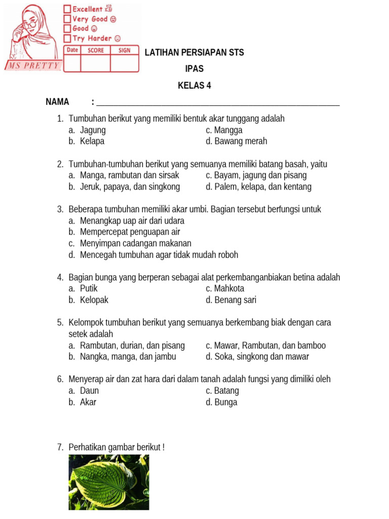 Latihan Persiapan STS Ipas Kelas 4 | PDF