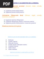 Articulaciones y Ligamentos Del Codo | PDF | Codo | Sistema ...