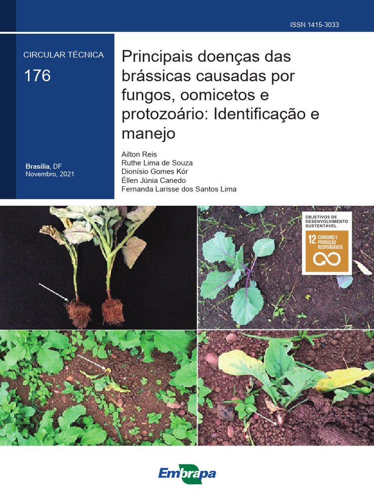 CT 176 30dez2021 | PDF