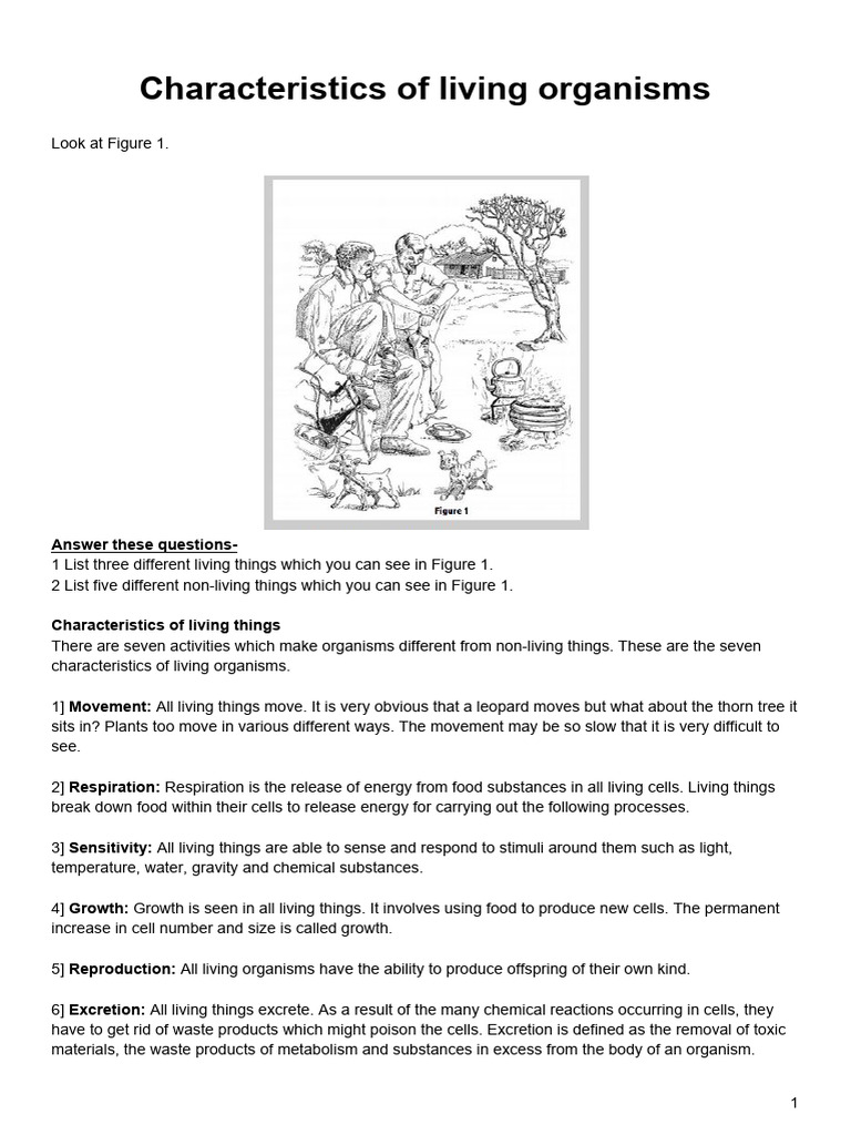 A Classification of Living Organisms | PDF