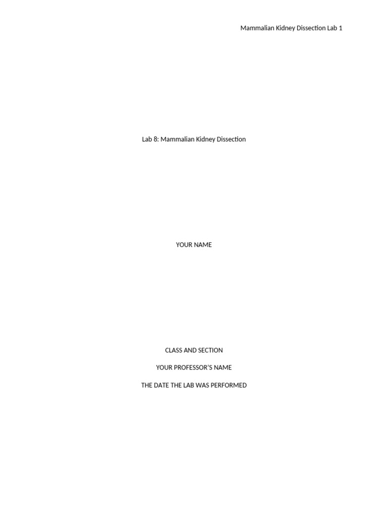 BIO 200 Lab 8 Report Template Mammalian Kidney Dissection | PDF BIO 200 Lab 8 Report Template Mammalian Kidney Dissection | PDF