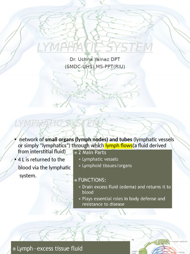 Lymphatic System | PDF