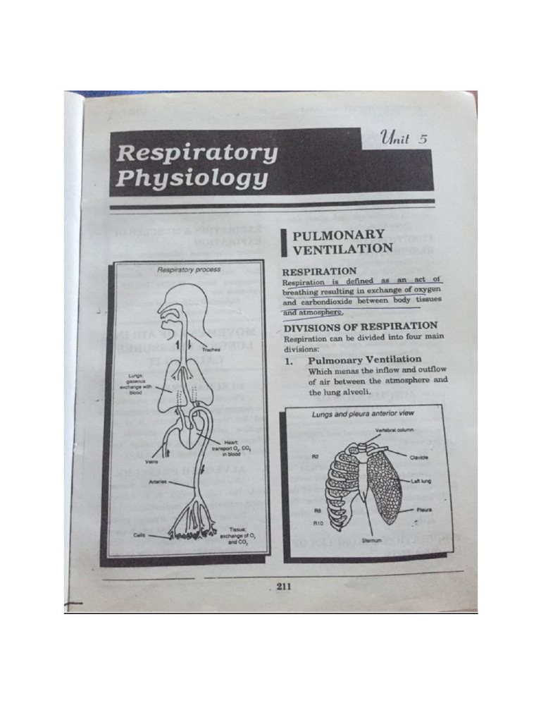 Physiology (Respiration) | PDF