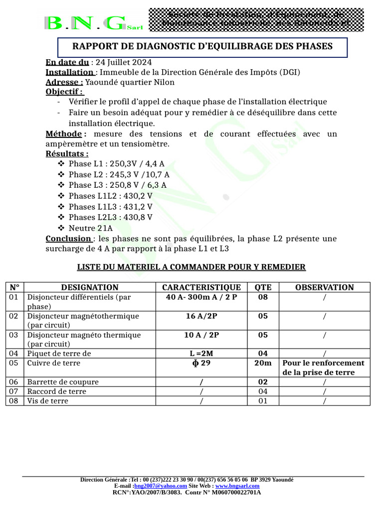 Rapport Du Diagnotic Dgi 1 (1) | PDF