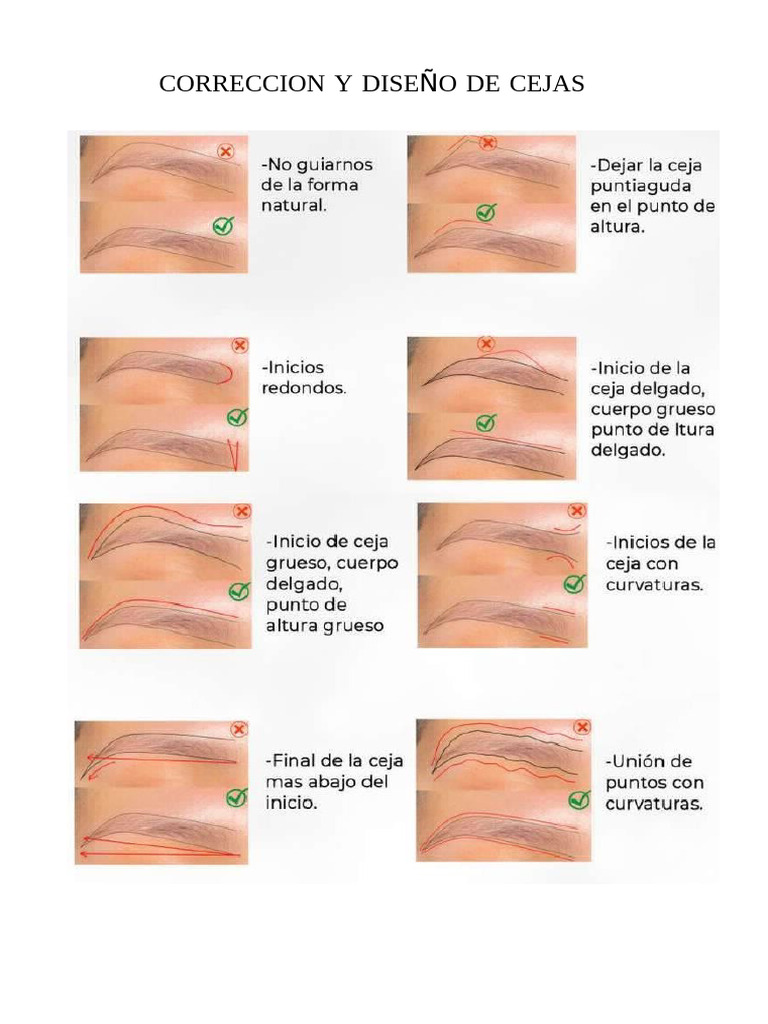 Practica Disen o de Cejas | PDF