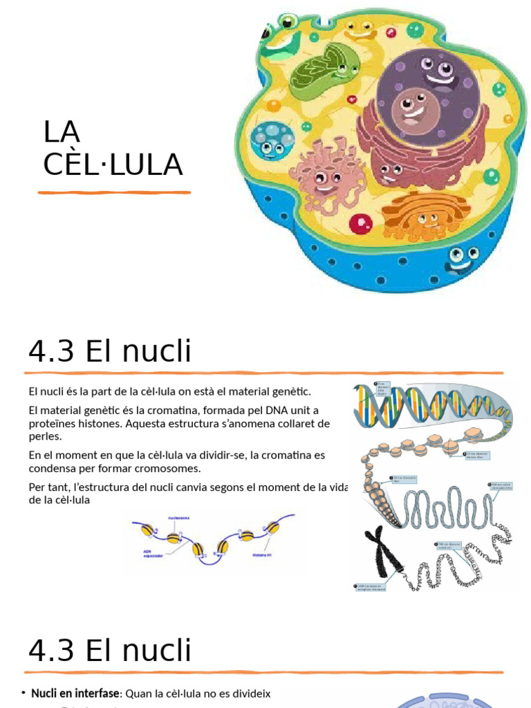 El Nucli 2 | PDF