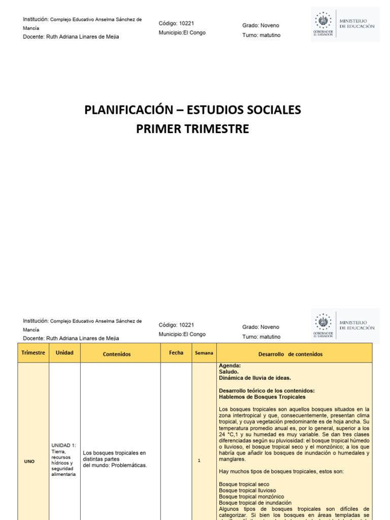 Planificacion Noveno | PDF
