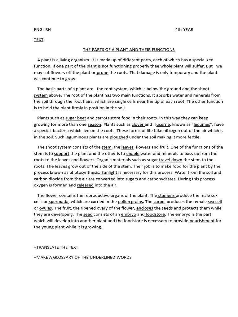 Parts of a Plant --Text 4th YEAR | PDF