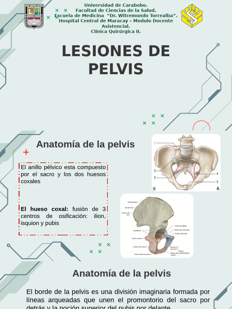Lesiones de Pelvis | PDF | Pelvis | Sistema musculoesquelético
