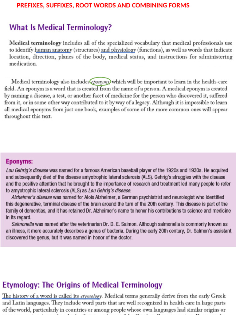 Tieng Anh Y Medical Terminology (With Key) | PDF | Anatomical Terms Of ...