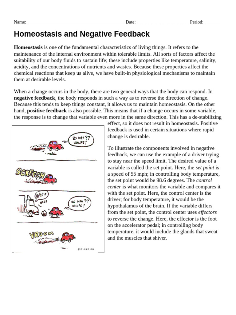 Homeostasis Worksheet | PDF