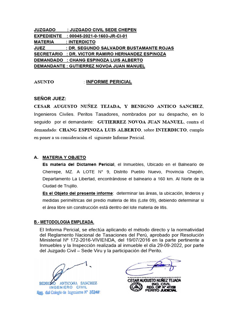 Informe Pericial | PDF
