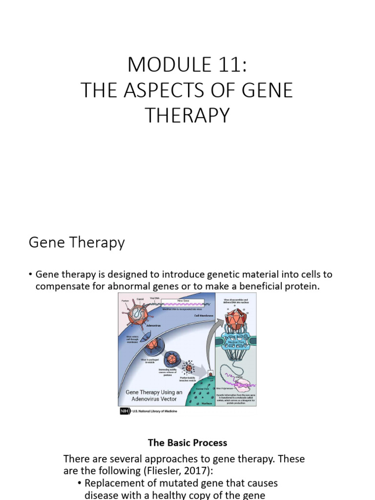 Overview of Gene Therapy Aspects | PDF | Gene Therapy | Self-Improvement