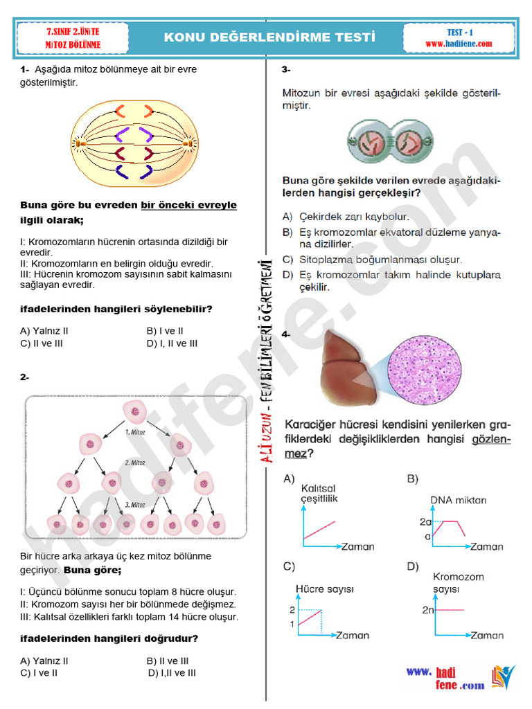7.sinif 2.unite Mitoz Bolunme KDT - 1-2 30933 | PDF