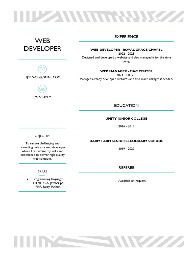 WEB Developer: Experience | PDF