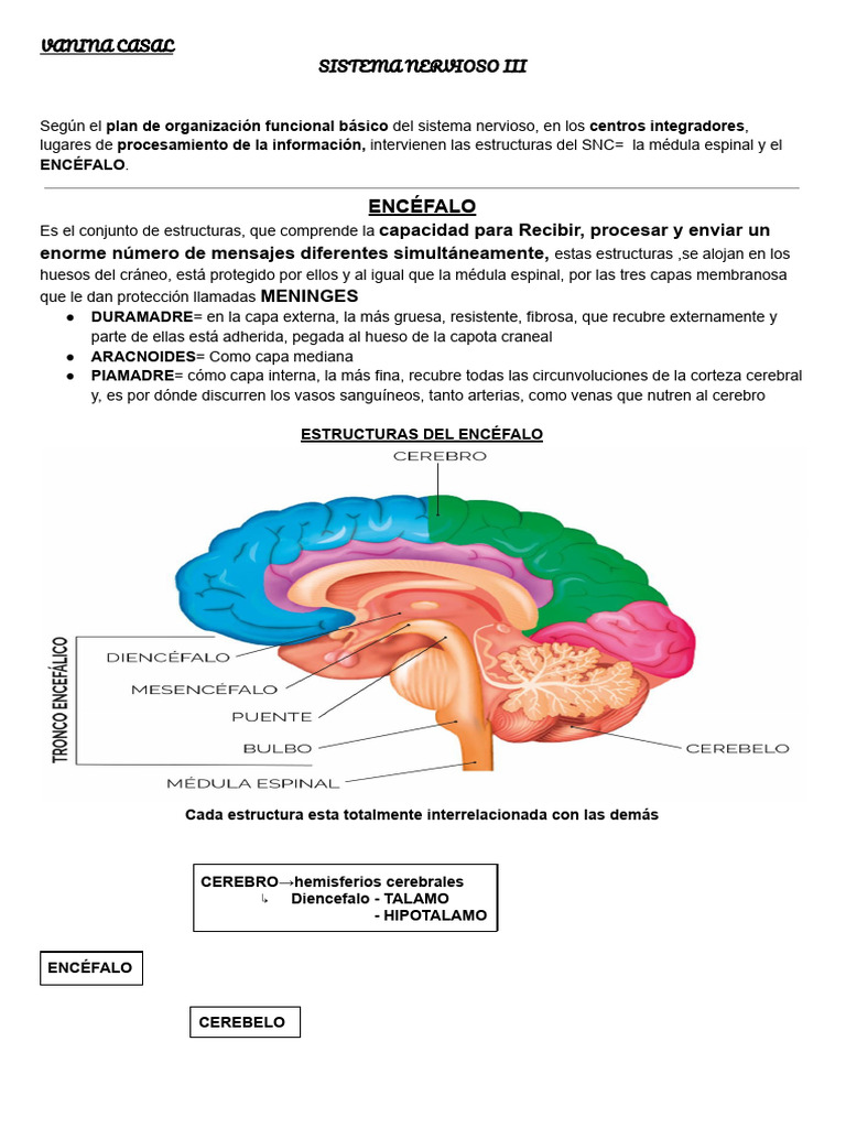 Resumen Biología U7 | PDF