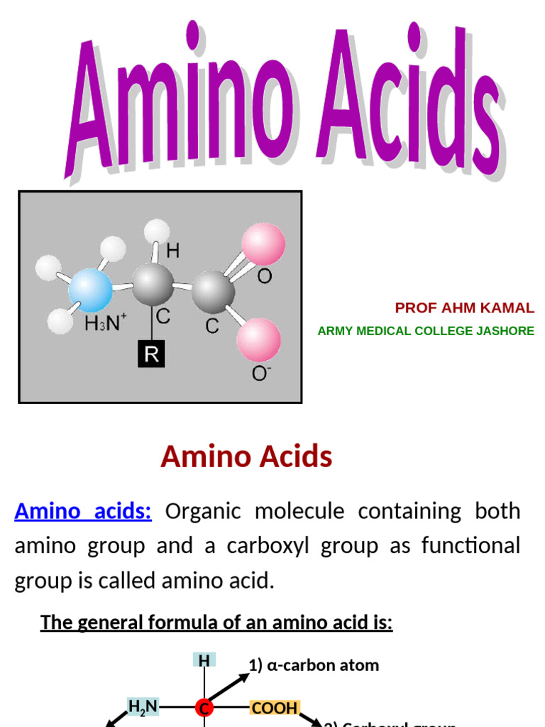 Amino Acid & Protein | PDF | Amino Acid | Protein Structure