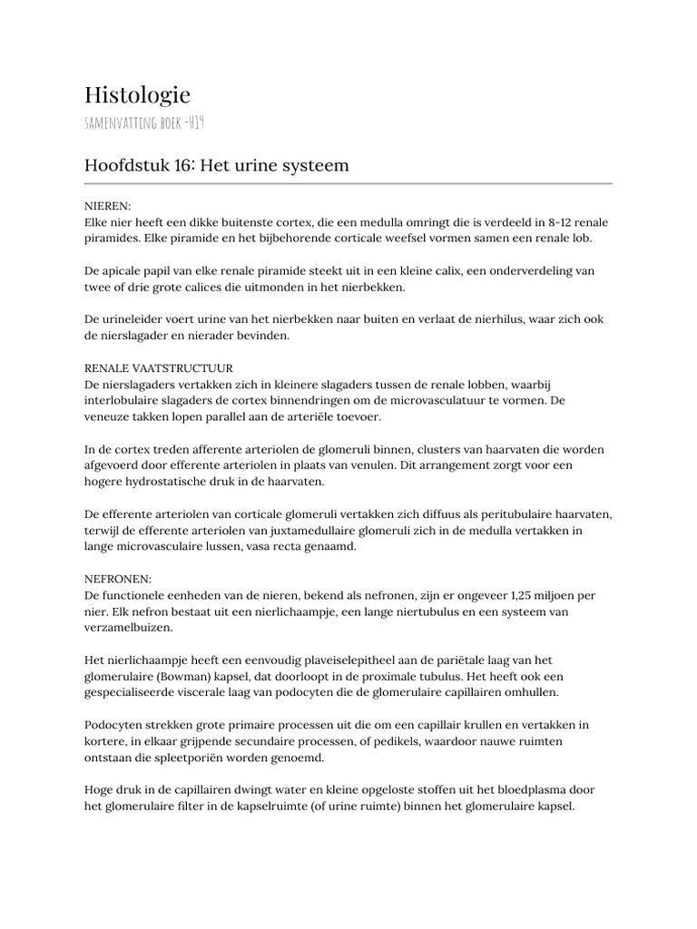 Hoofdstuk 19 | PDF