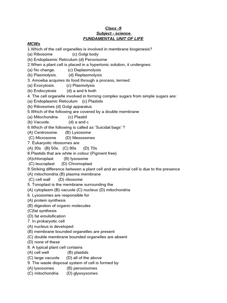 Class 9th Science Assignment Pdf