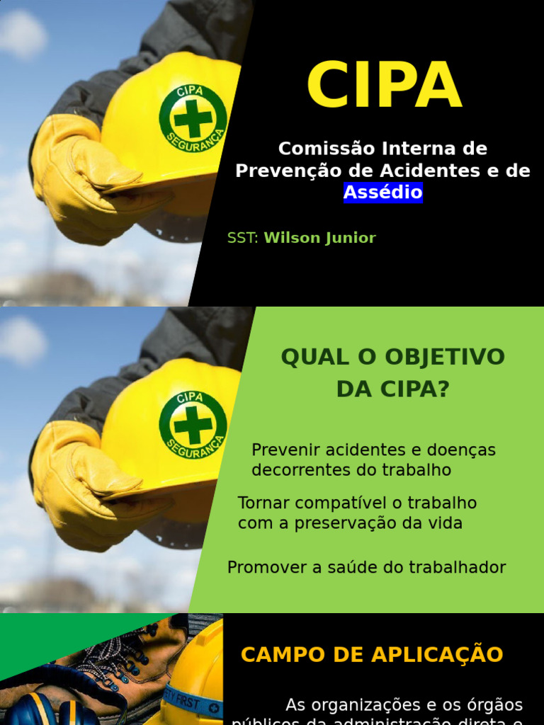 Cipa | PDF